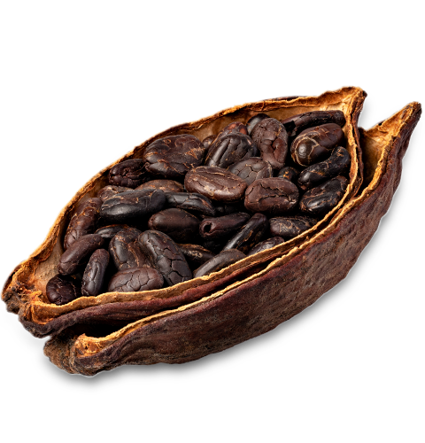 Inicio - Chocolates Procali